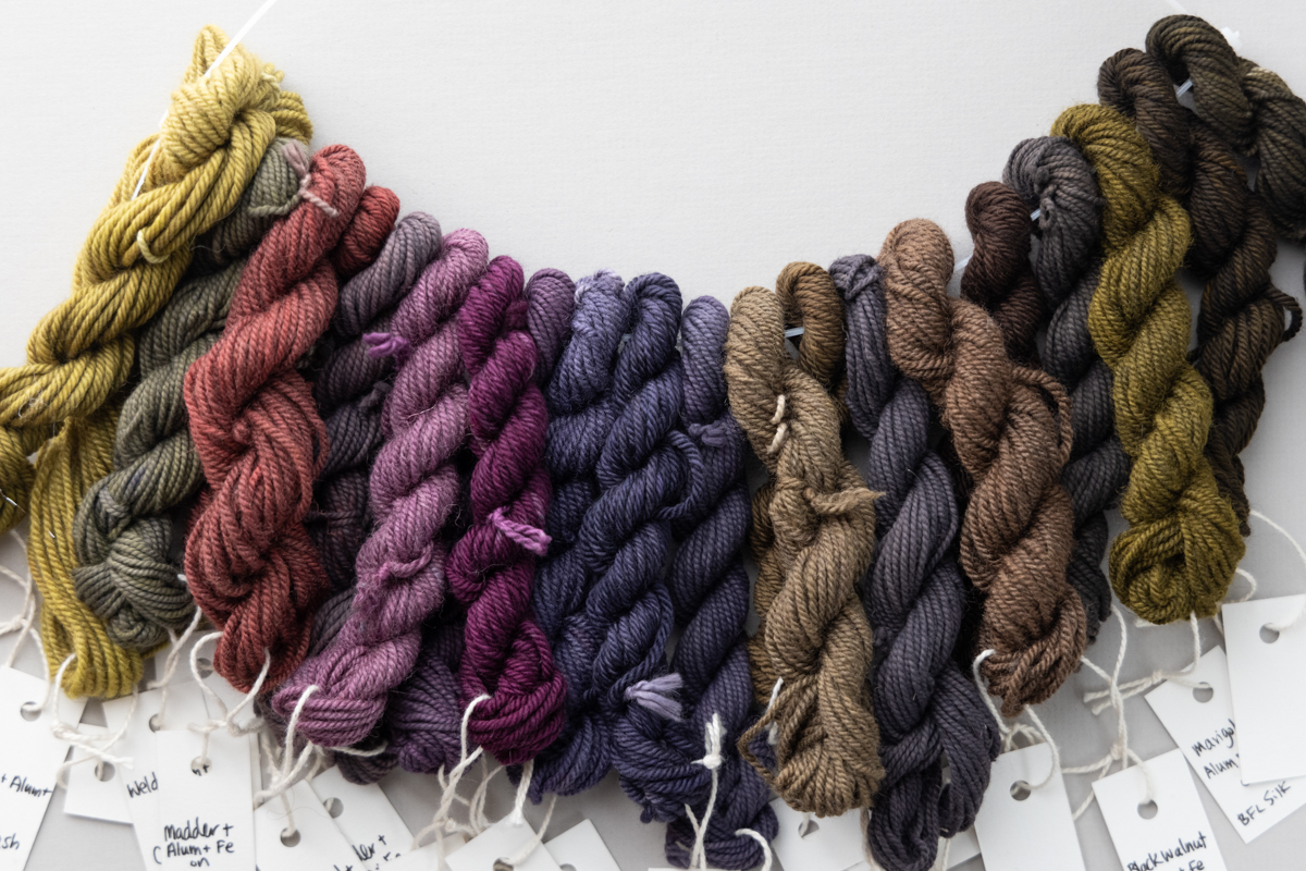 Member Update: Natural Dyeing Basics » School of SweetGeorgia