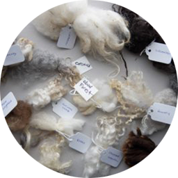 Learn to Spin » Learning Paths » School of SweetGeorgia