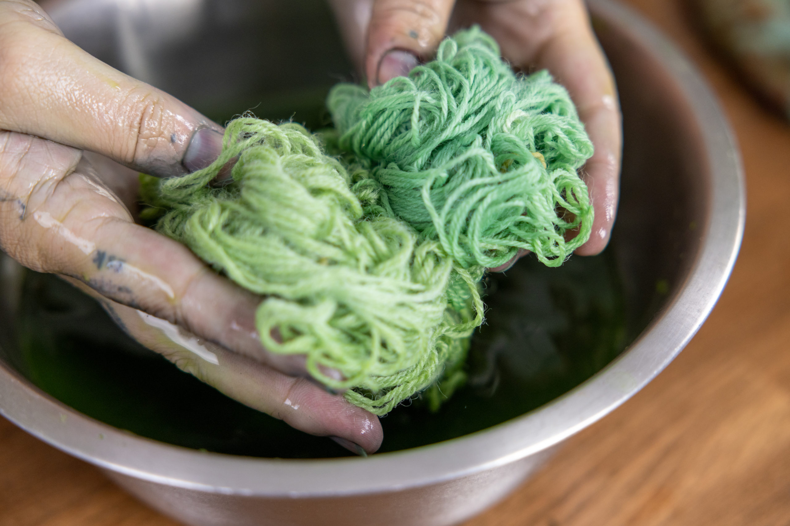 Fresh Indigo Leaf Dyeing » School of SweetGeorgia