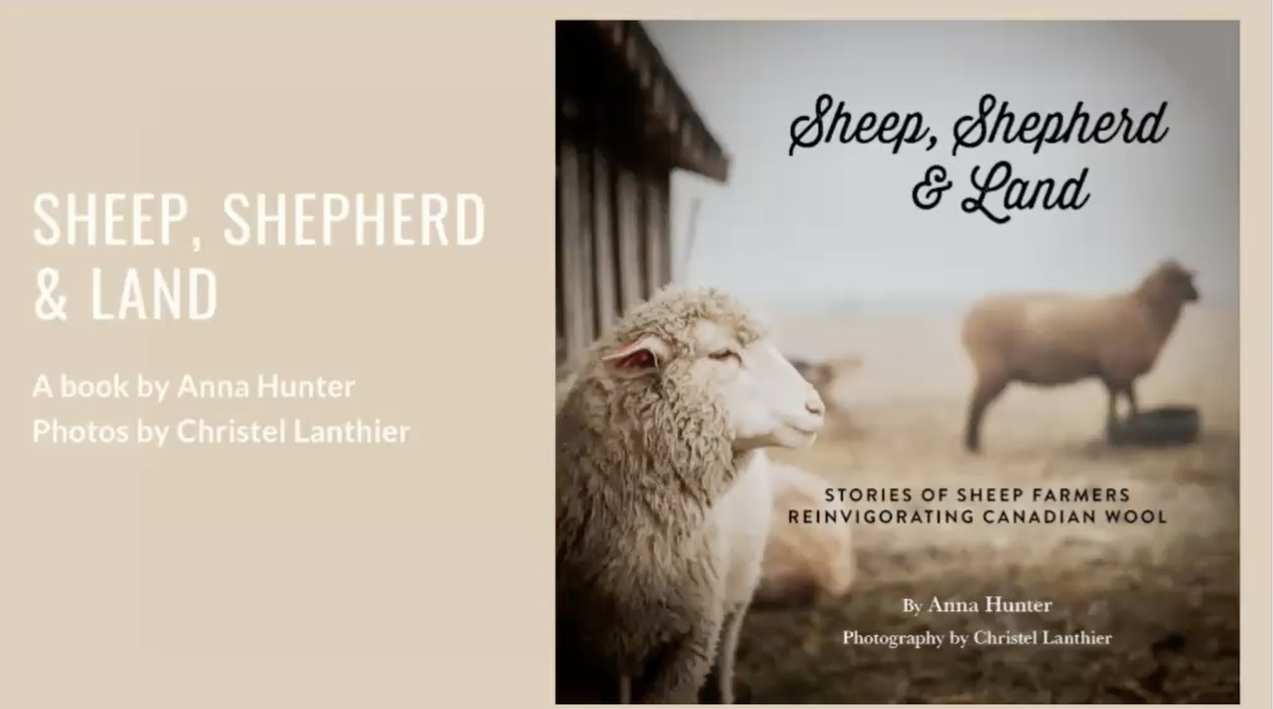 Sheep, Shepherd, & Land Discussion » School of SweetGeorgia