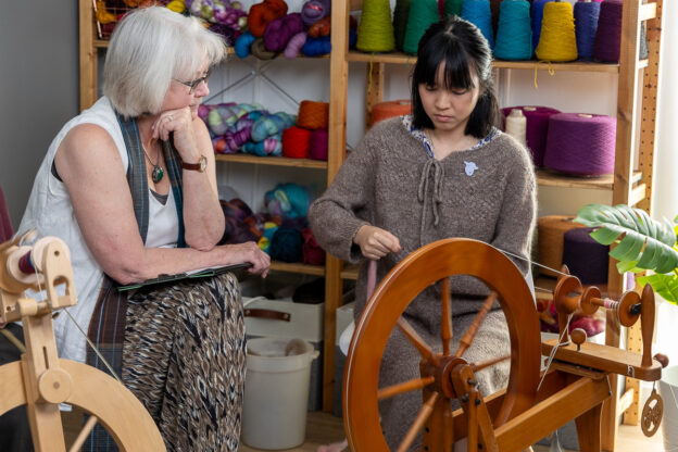 Spinning Courses | Learn to Spin Yarn Online | School of SweetGeorgia