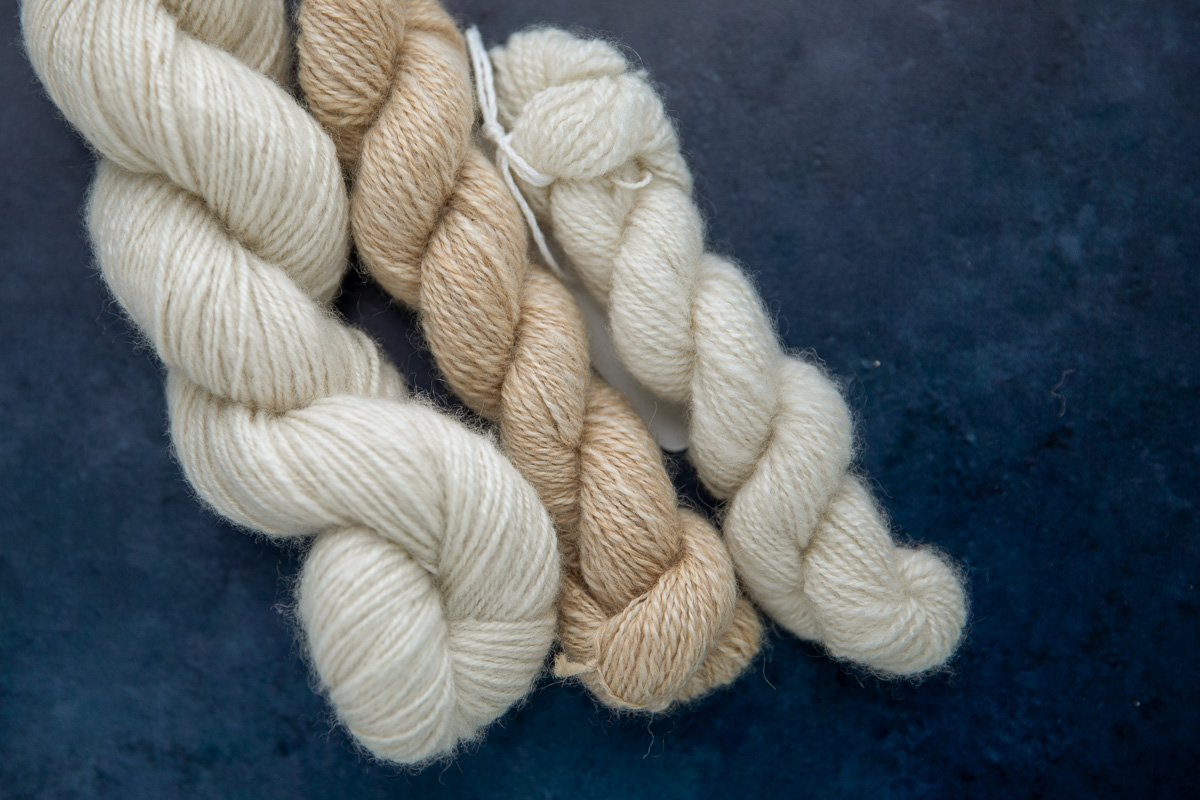 Update: Spinning Luxury Fibres with Rachel Smith - School of SweetGeorgia