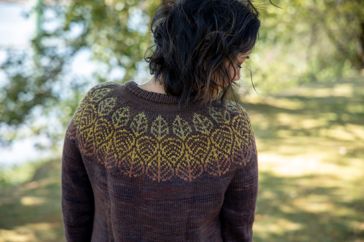 Falling Leaves Sweater » Knitting Patterns » School of SweetGeorgia